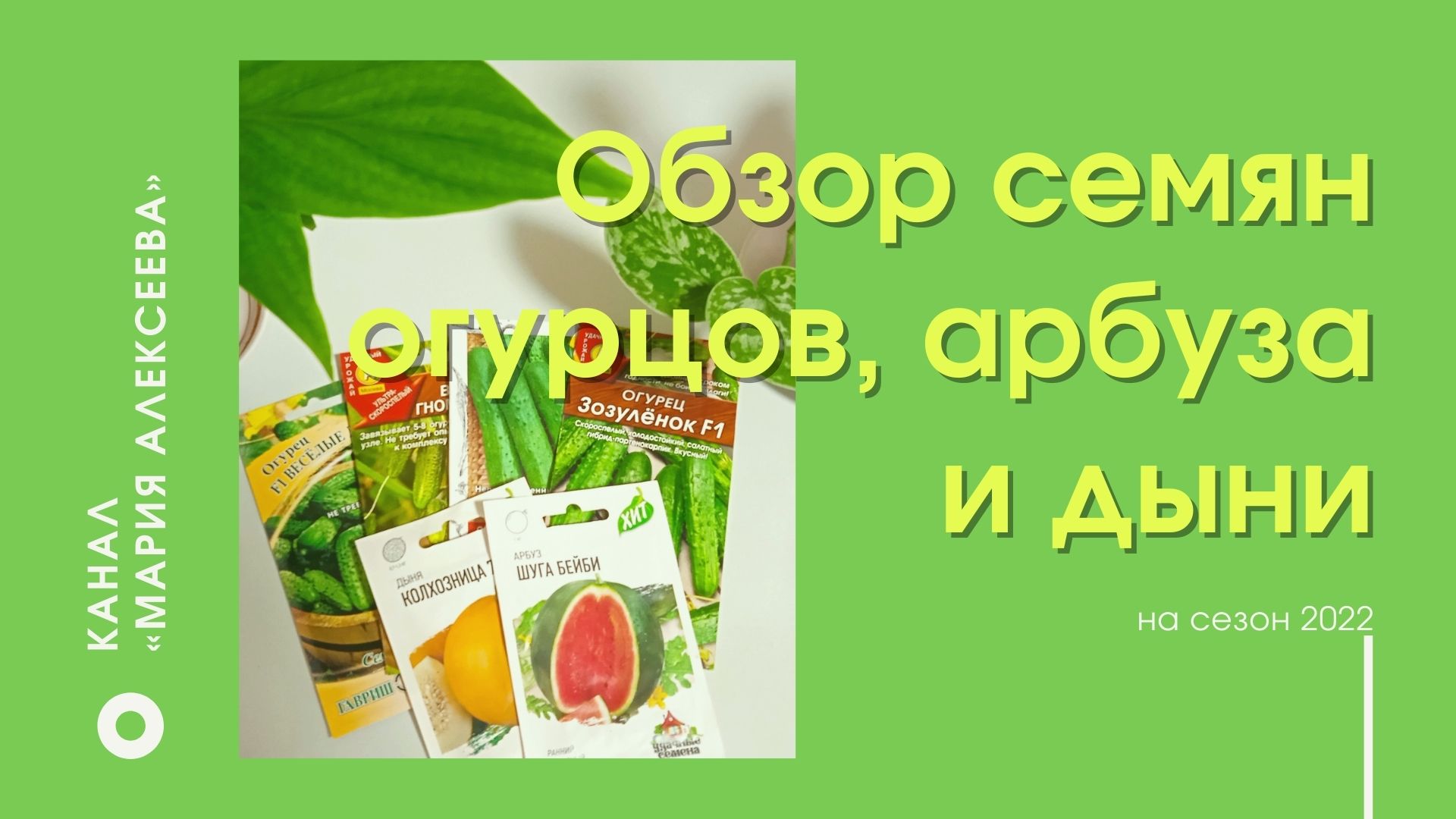 Обзор семян огурцов, арбуза и дыни на 2022 сезон.mp4