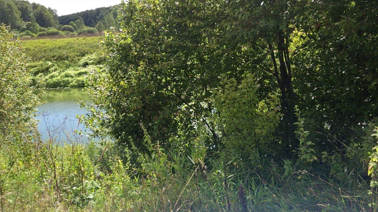 Евгений Клячкин - Речка (ст. Г. Горбовского) - кавер, аккорды и бой на семиструнной гитаре, разбор.