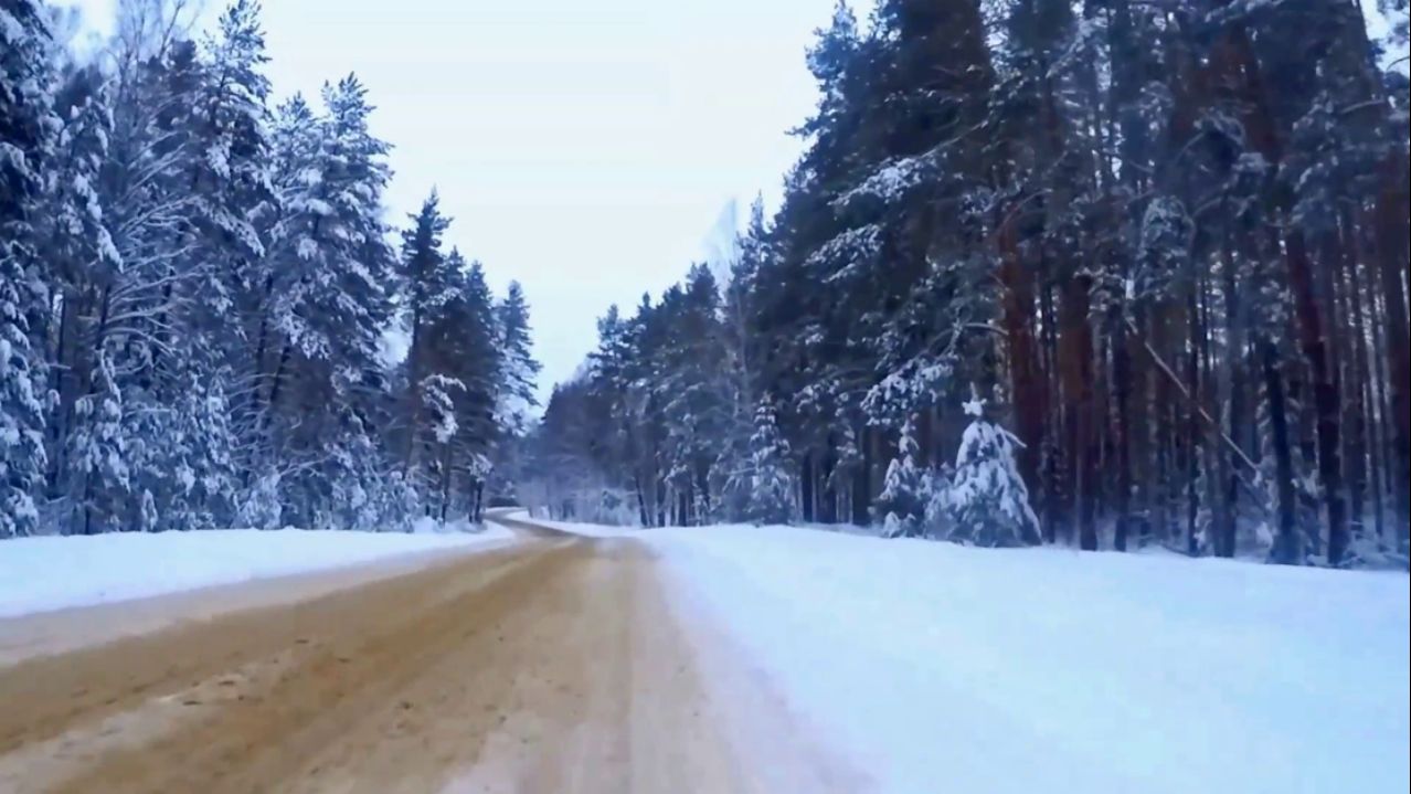 ЛАСКОВО ПОСЕЛОК ЛАСКОВСКИЙ ЗИМНИЙ ЛЕС 2022.12.17