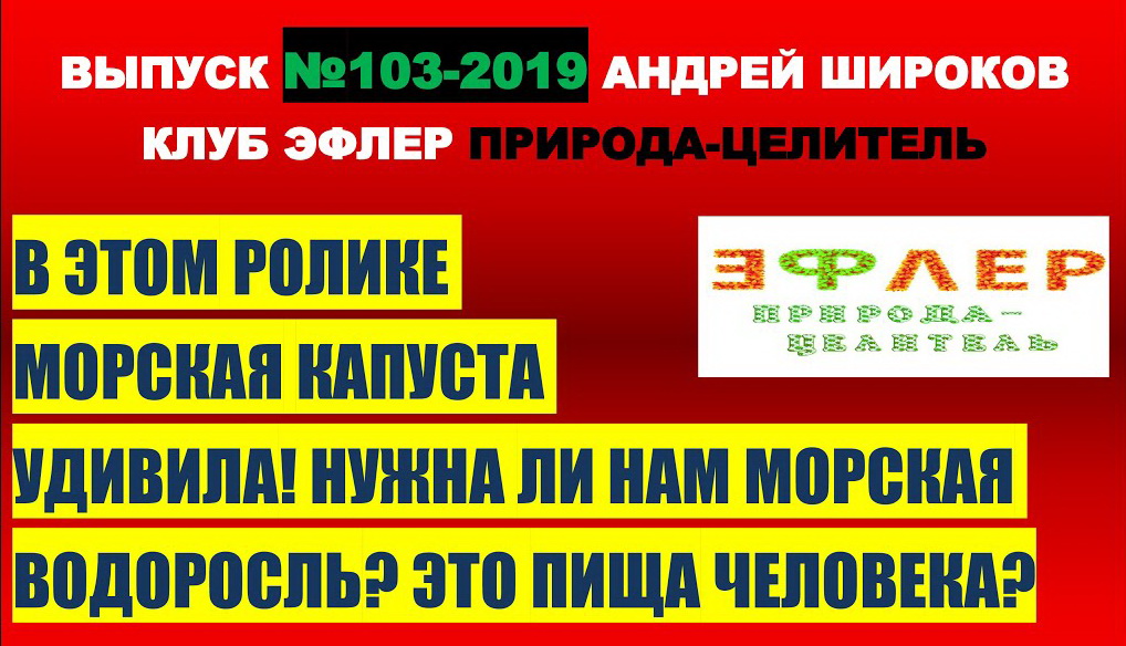 МОРСКАЯ КАПУСТА. В МЕРУ БЕЗОБИДНА. БИЛЕТ НА МОРЕ. БИОЛОКАЦИОННОЕ РАССЛЕДОВАНИЕ. СЮРПРИЗ! ЭТО ПИЩА?