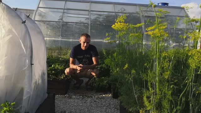 Высокие грядки за и против! Как сделать