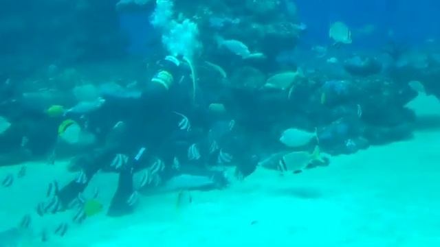 Океанариум в Израиле!!! Часть 1!