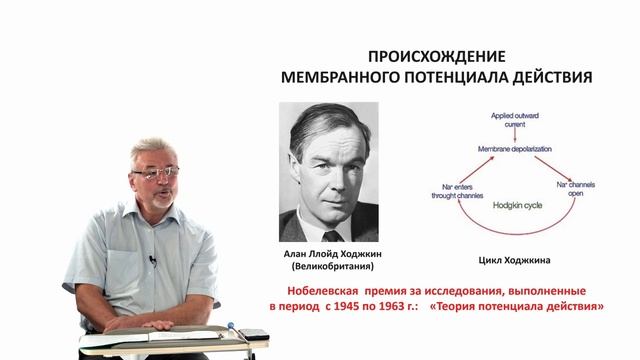 Евсеев А.В. Нормальная физиология. Лекция №5. Теория происхождения биопотенциалов. 2023