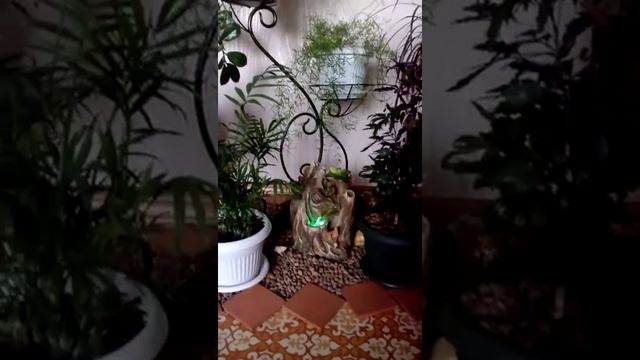 МОЙ ЗИМНИЙ САД