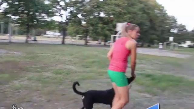 Контакт с собакой на прогулке. Дрессировка чужой собаки