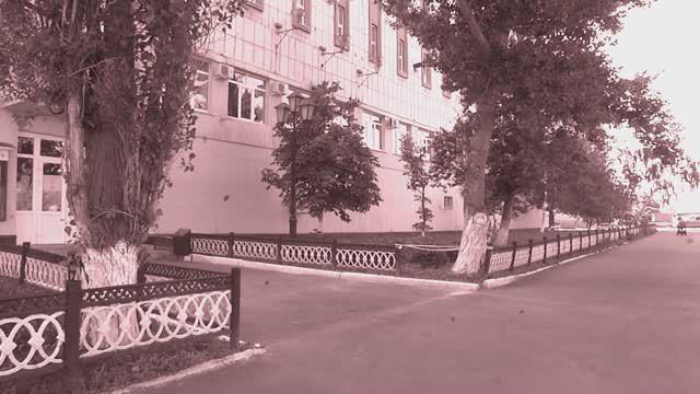 Профессия архивист. Серия 3. Центр АВД