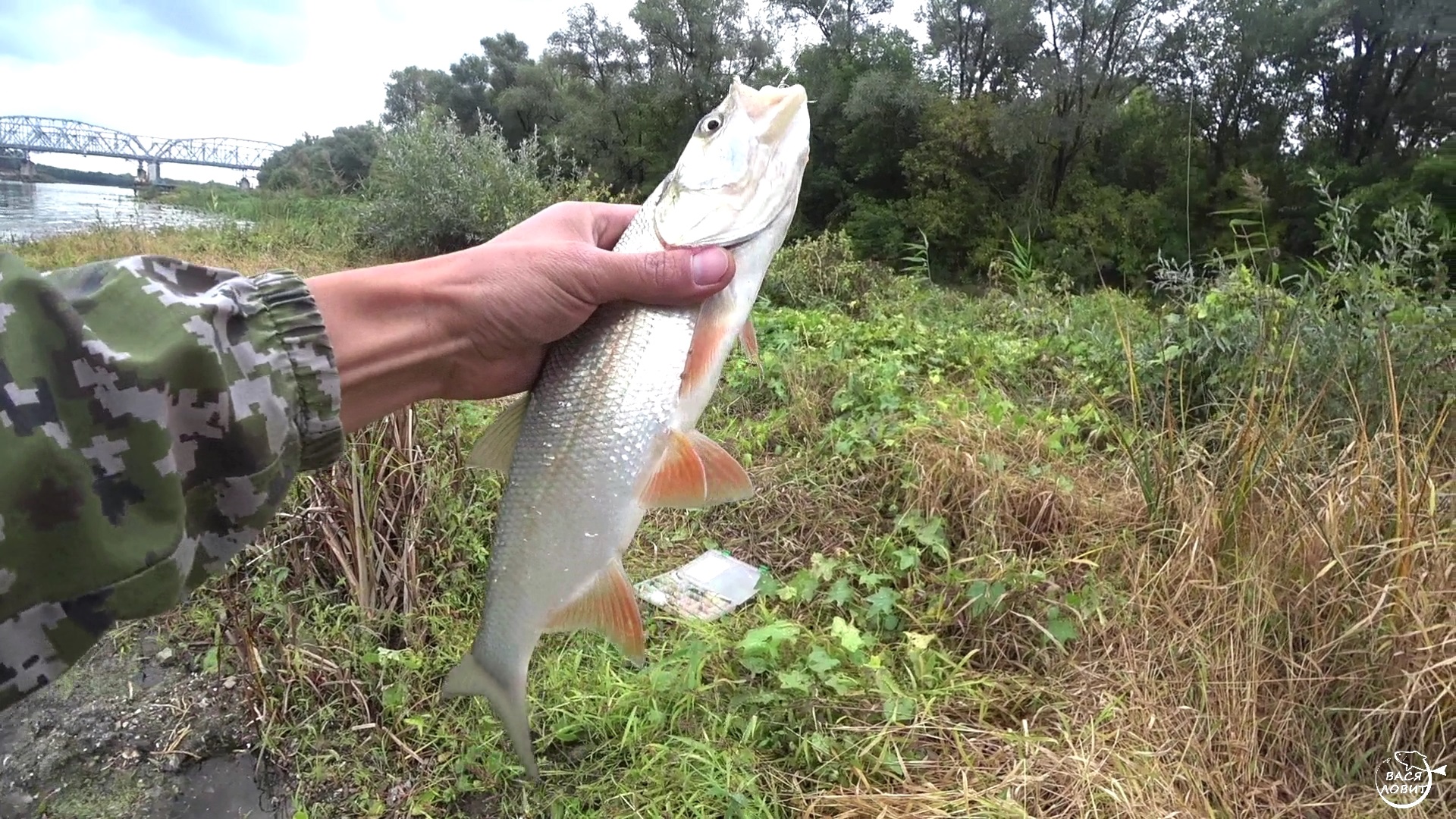 Ловля на ЦИКАДЫ. Небольшая рыбалка на спиннинг пока дождя нет. р.Дон. (29.09.2021)