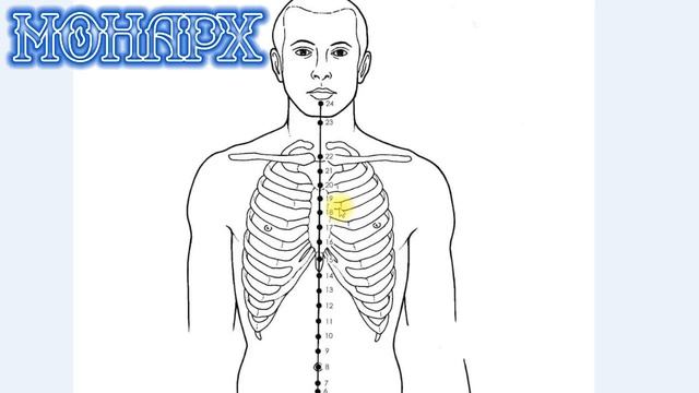 Маленькие секреты лечения через акупунктурные точки. Подспорье к вихревой медицине