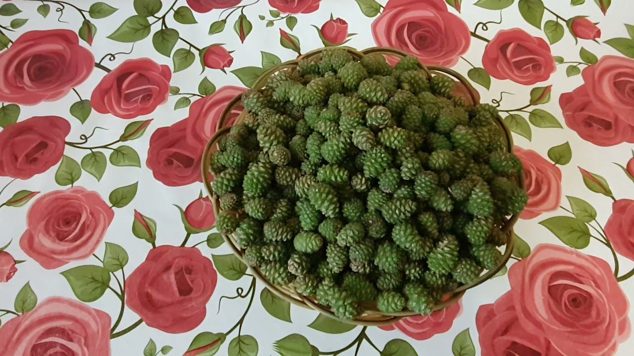 Сироп из сосновых шишек, быстро.