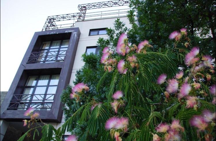 Отдых в Геленджике с детьми в частном секторе. Геленджик жилье для отдыха. «Лилу» МИНИ-ГОСТИНИЦА