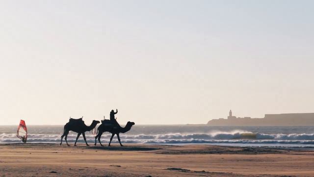 Look Level 1 Unit 11 Video 14