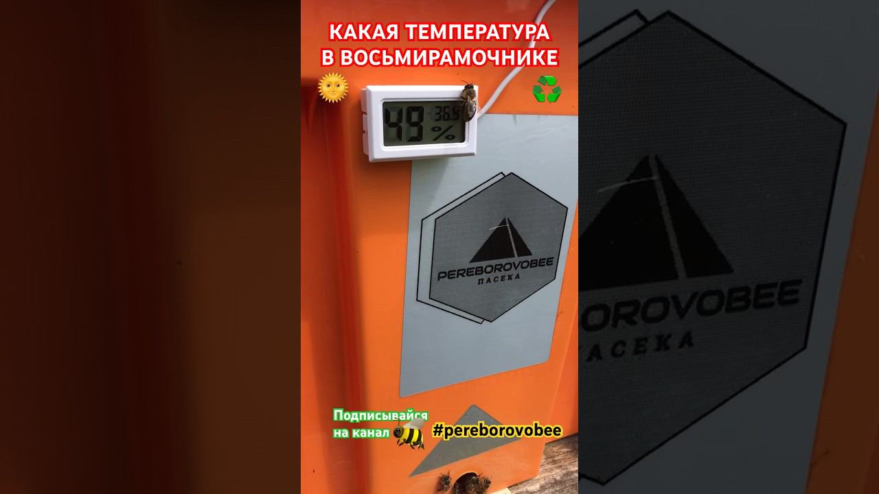 Какая температура в ВОСЬМИРАМОЧНИКЕ! ПЧЕЛОВОДСТВО! #pereborovobee #пасека #пчеловодство #матковод