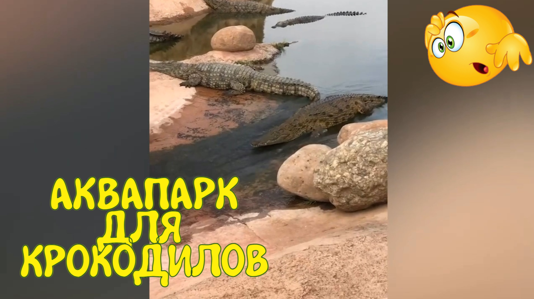 ИНТЕРЕСНАЯ ☕ ПОДБОРКА #2