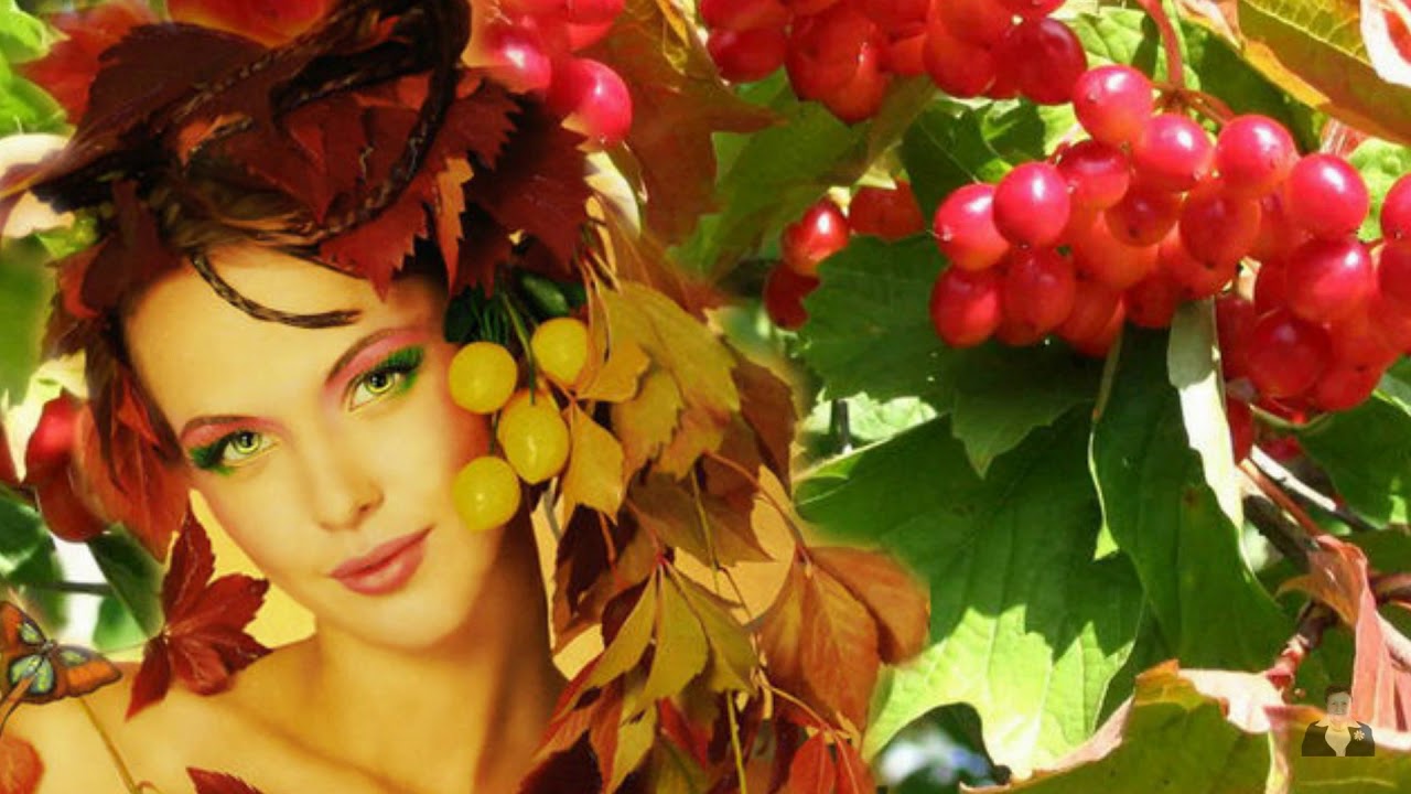 Осень.  Стихи о любви и  осени.  Автор текста Лариса Рубальская. Стихи