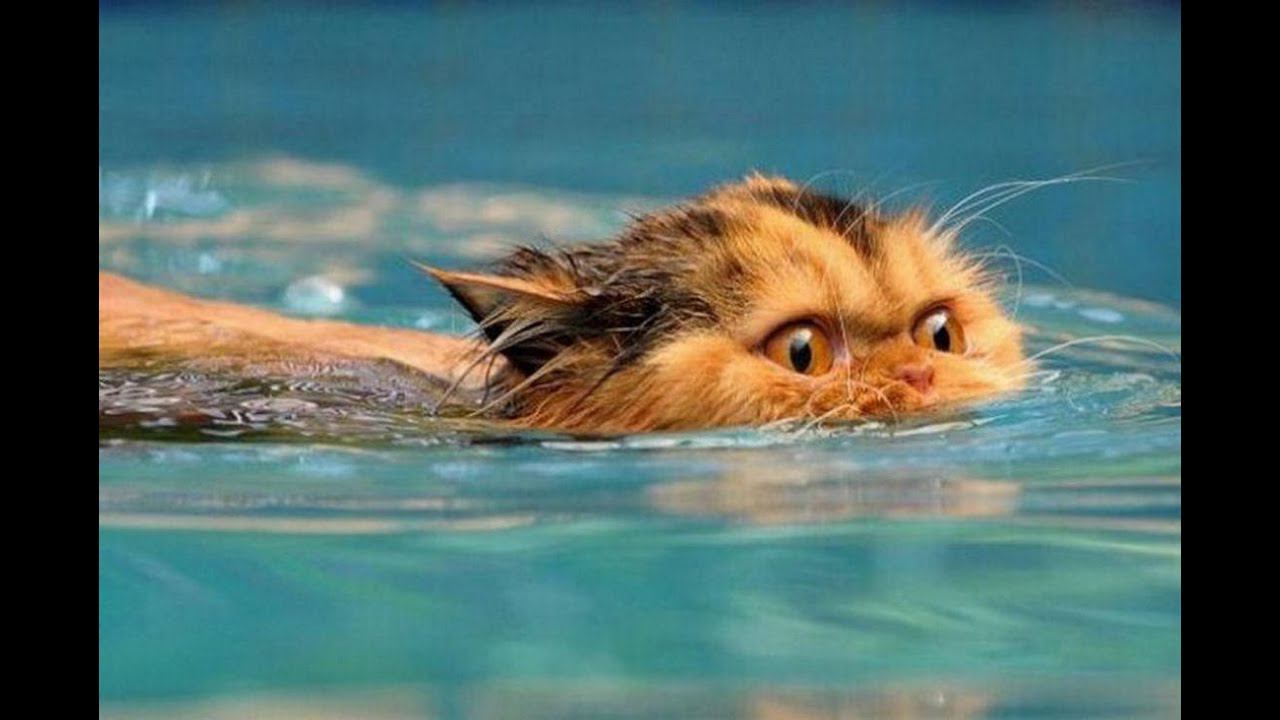 Прыгаю в басейн на улице +8 вода +20 подпишись пожалуйста