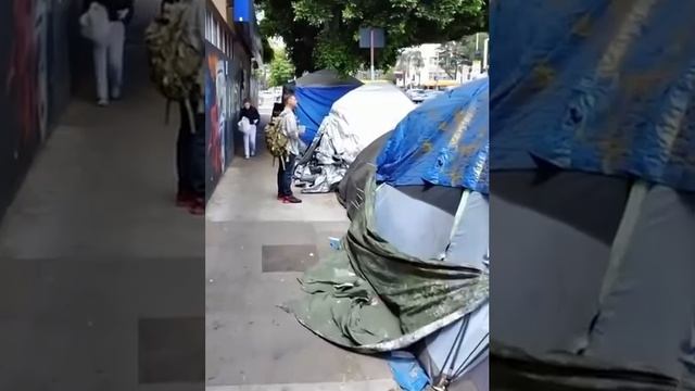 Прекрасный Лос-Анджелес