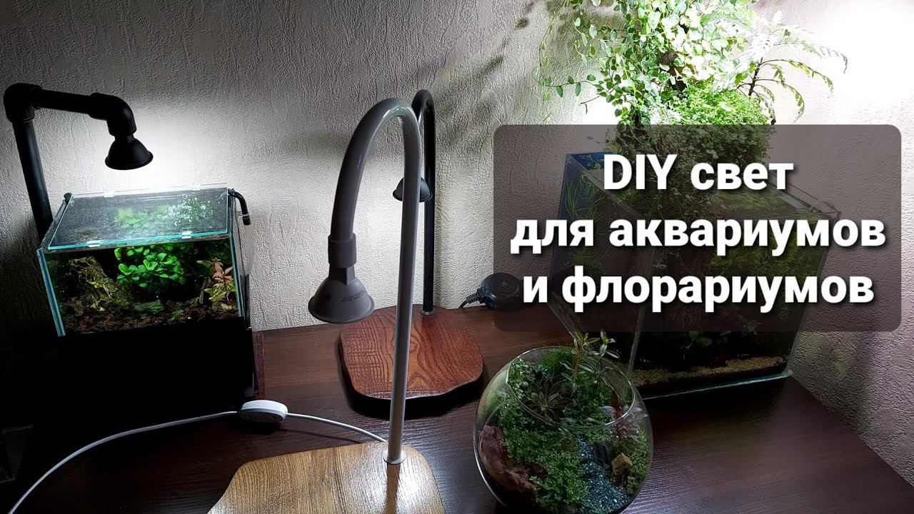 Самодельные светильники для аквариумов и флорариумов