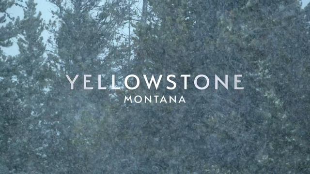 Год на планете Земля 1 серия «Зима» (документальный сериал, 2022)