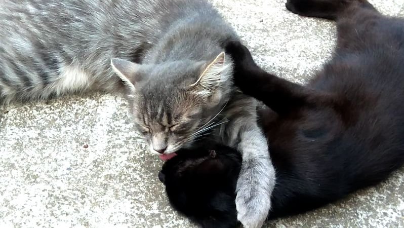 Братик и сестрёнка