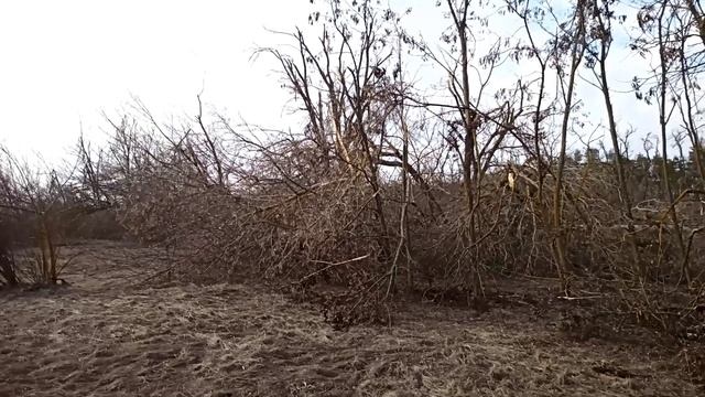 Апокалипсис.Беда нежданчик.