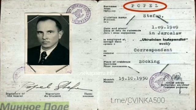 Казявка придёт порядок наведёт