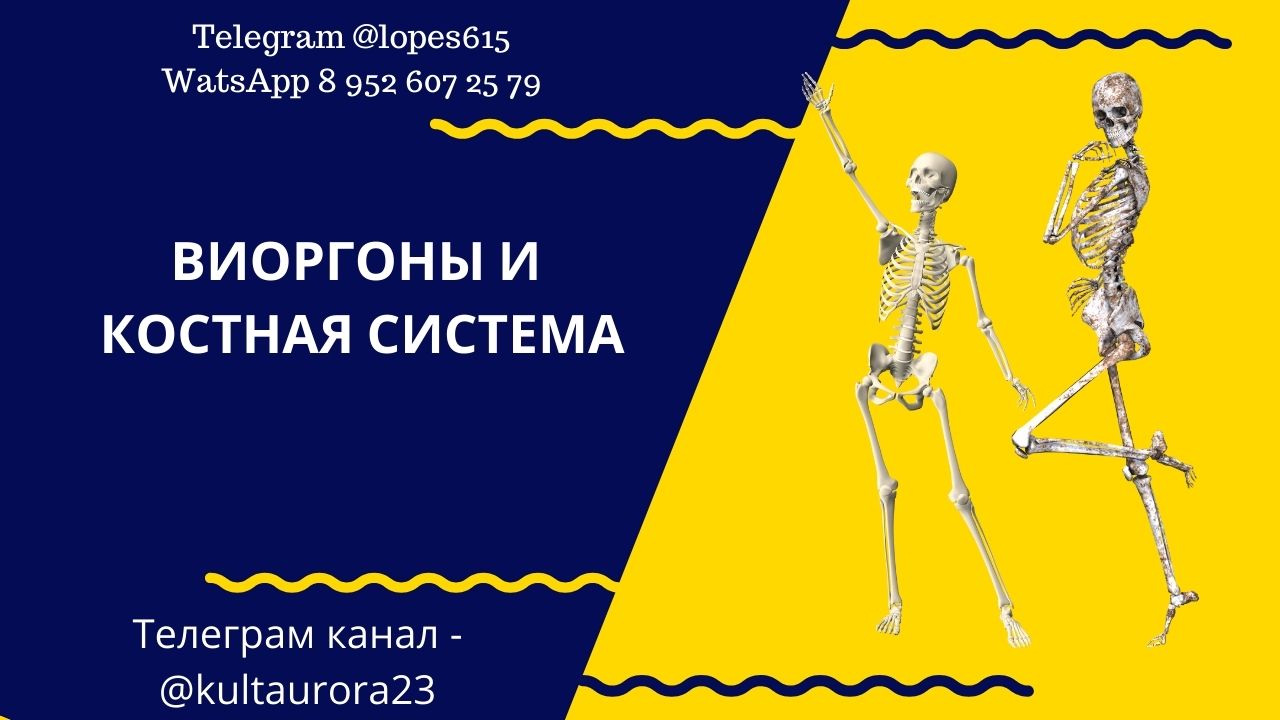 Виоргоны и костная система