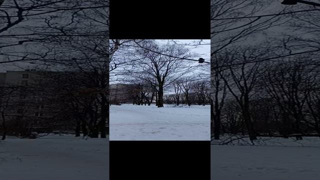 на Черной речке  Спб , Питер