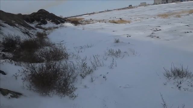 ( +18) зайцы на карьере или бакс счастливчик (бакс продакшн и гоп компания) (1).mp4