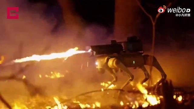 Китайские роботы-собаки, оснащенные различным вооружением, в том числе огнеметом! С таким на поле бо