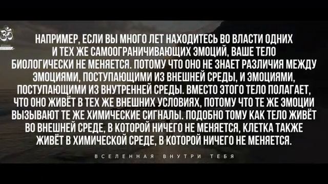 Джо Диспенза. Настраиваемся на высшие измерения: шишковидная железа как приёмопередатчик.