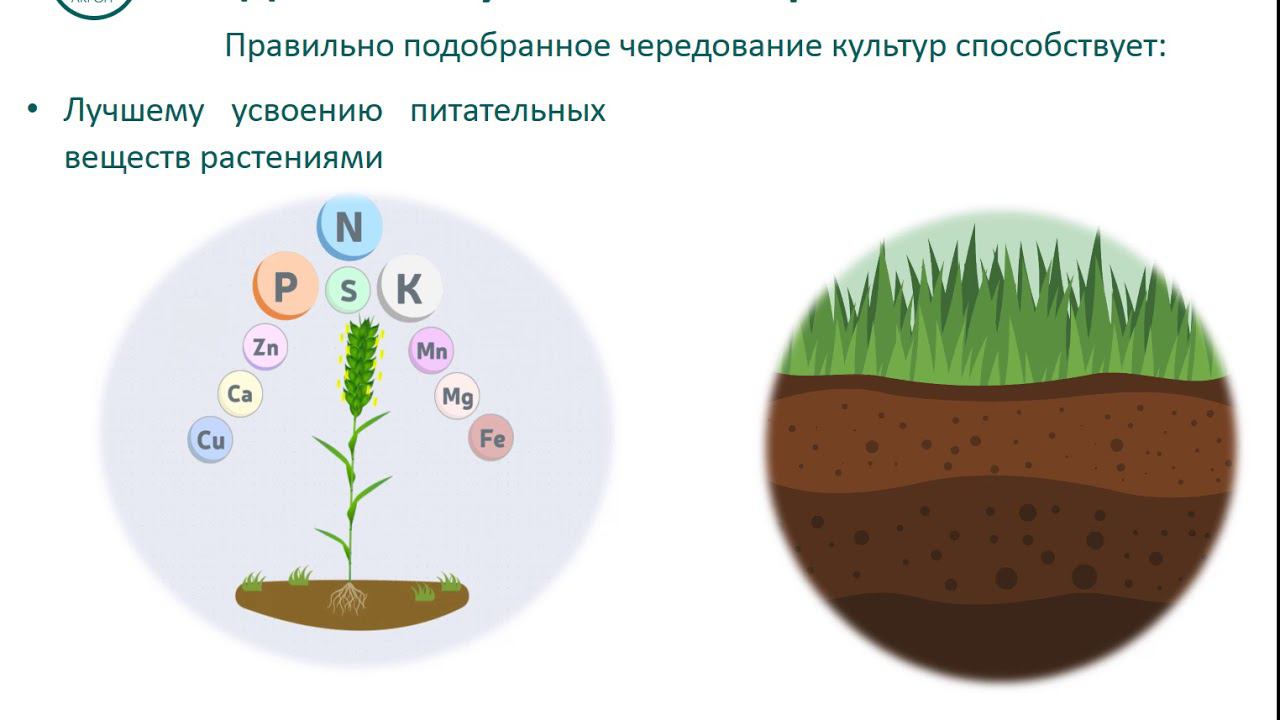 Севооборот - Видео №1