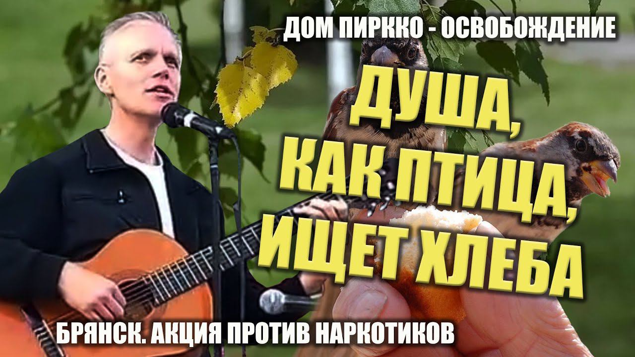 Душа, как птица, ищет хлеба