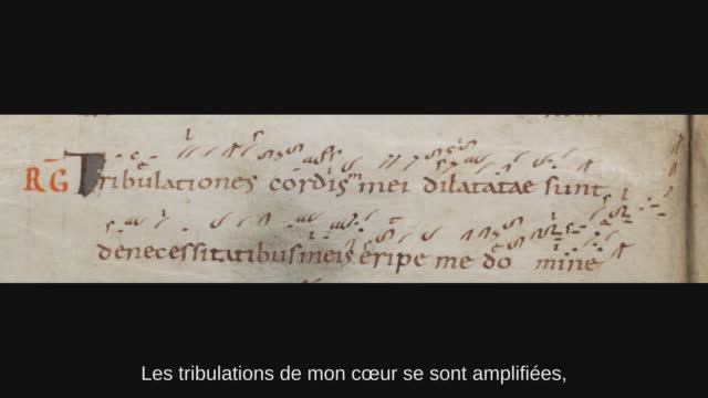 Tribulationes Cordis mei