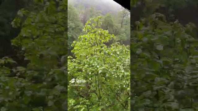 Краснодарский край: Гуамское ущелье