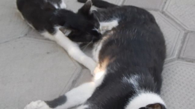 кормление. 21 08 22.DSCN0690