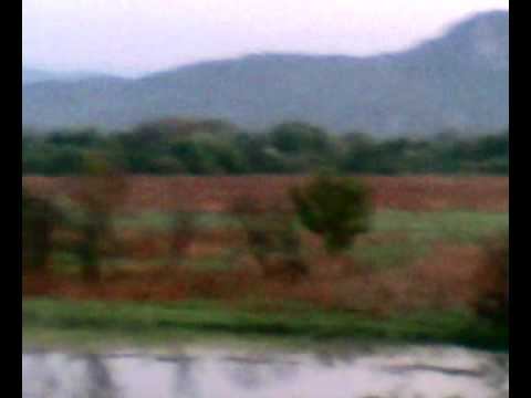 Death Fog - Туман несущий смерть!