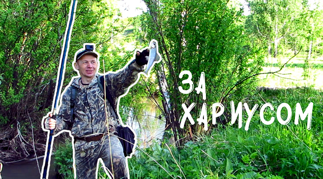 Ловим хариуса на небольшой таежной речке