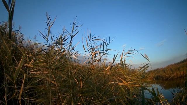 (18 ) ЧЁТКИЙ ВЫСТРЕЛ (охота на утку - 2019).mp4