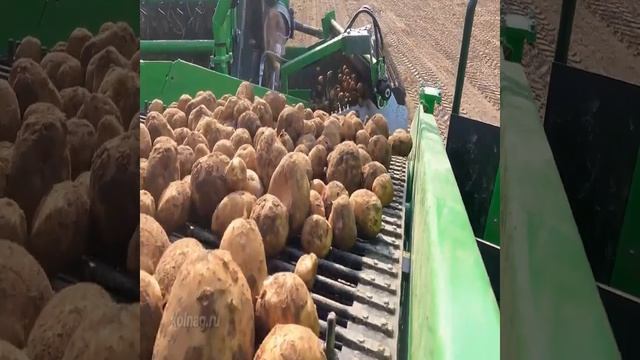 Цитаты про сельское хозяйство, картофелеуборочный комбайн Колнаг.mp4