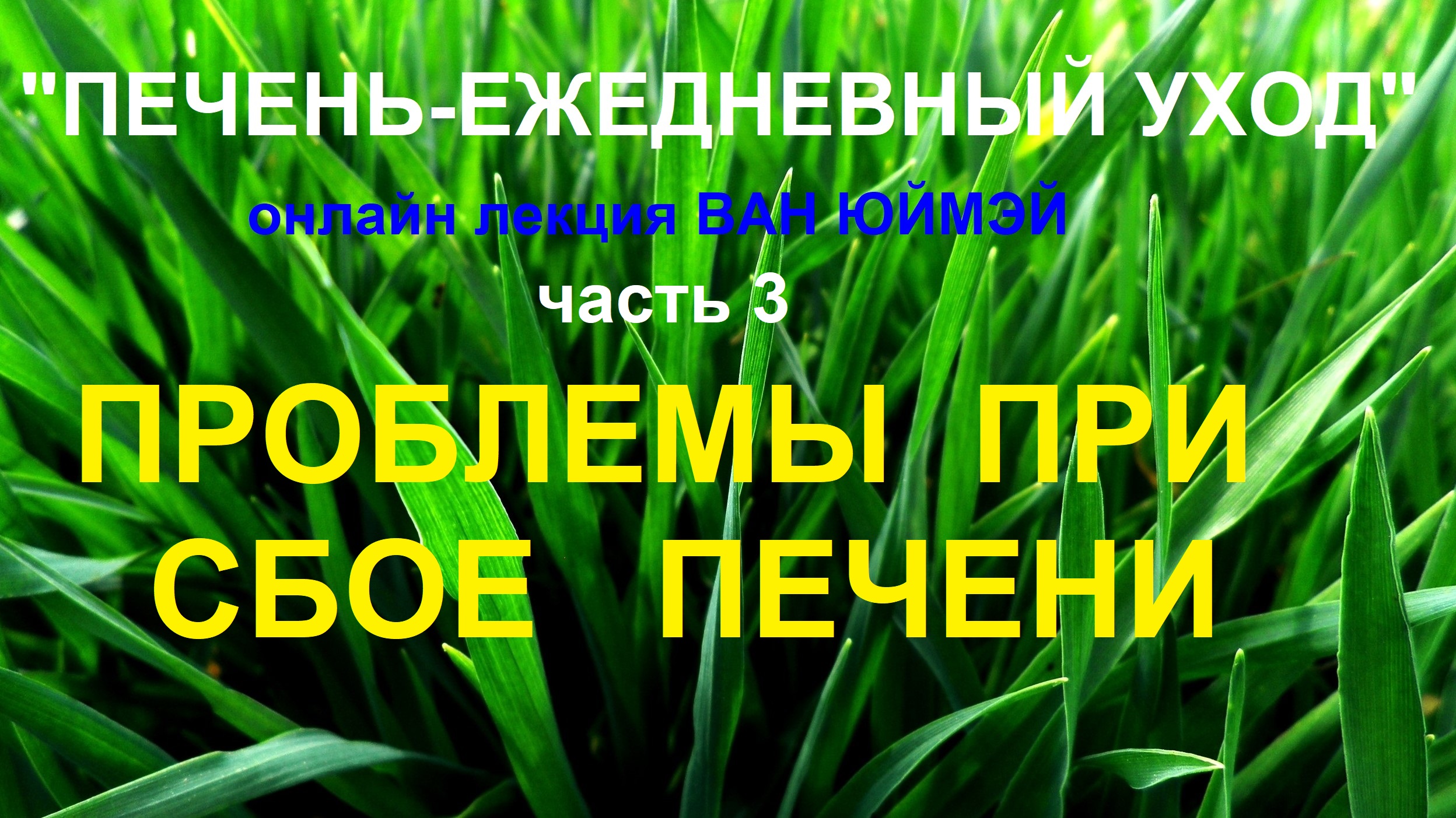 3.Проблемы при сбое печени