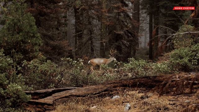 Продукция TM CNC Guns Custom доступна и для охотников