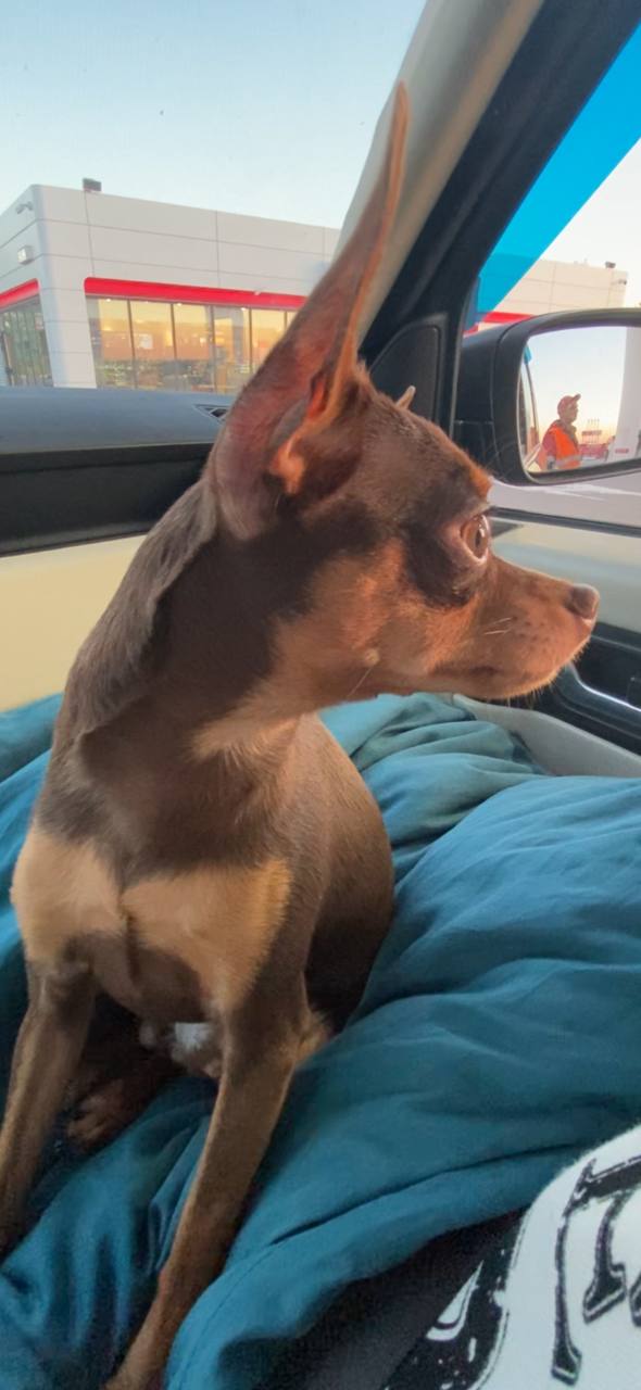 Контролирует заправку машины