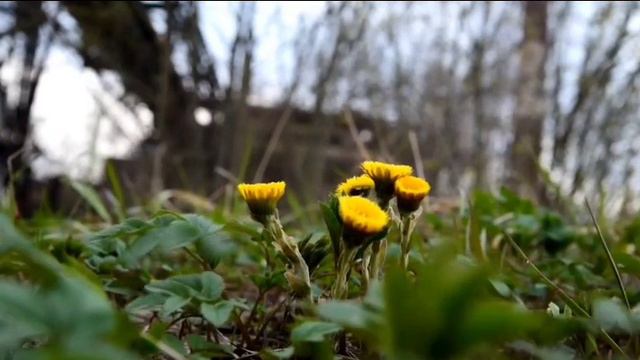 Мои стихи - Весенний день.