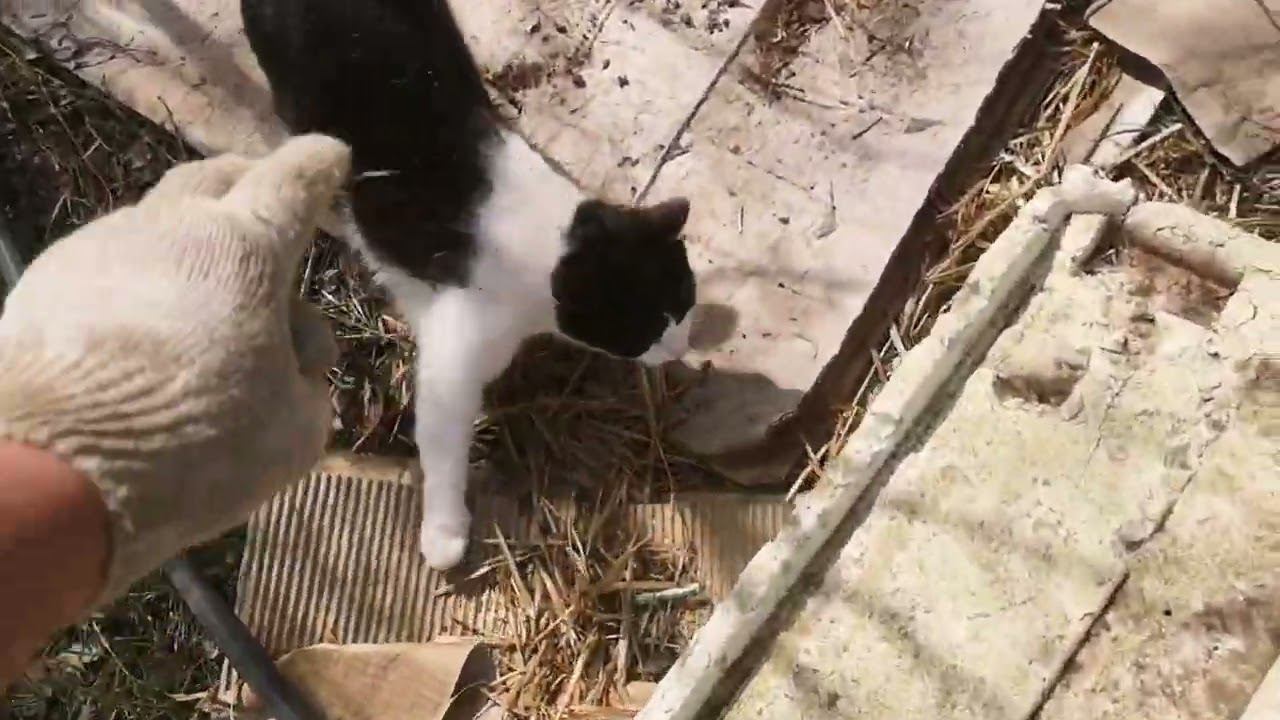 Как дела с моими посевами и черенками