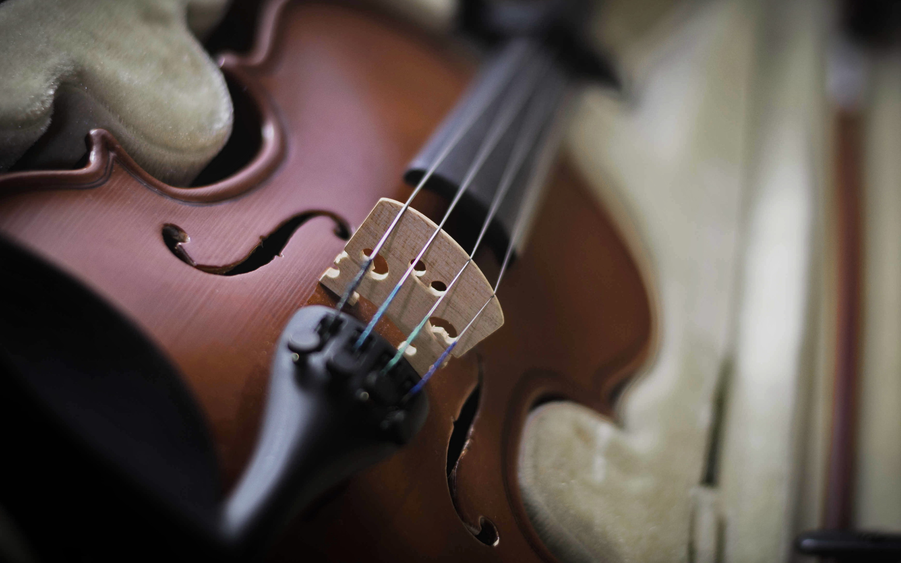 Мистерия музыки