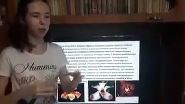 Юлия Абросимова (Биоквантум). Клонирование орхидей.