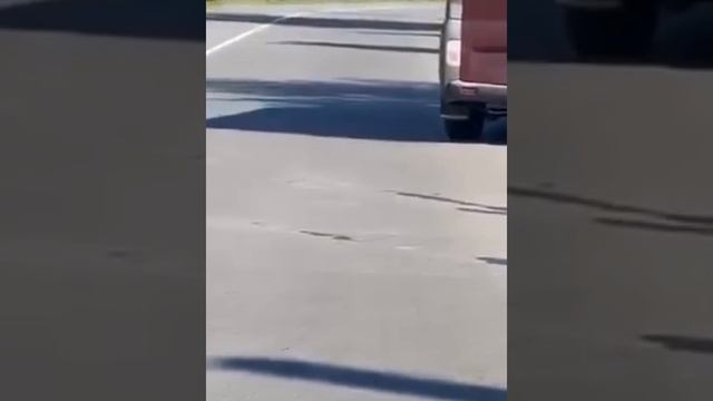 Добровольная мобилизация по-украински, демократия