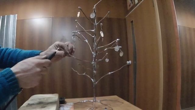 Денежное дерево