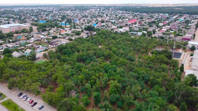 Уборка парка им. Калинкина 2022г.