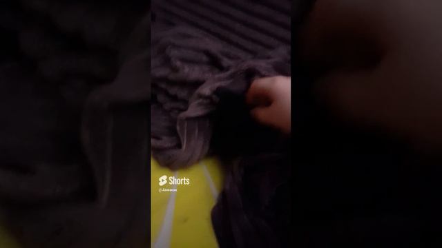 милаха 🥰 #Shorts